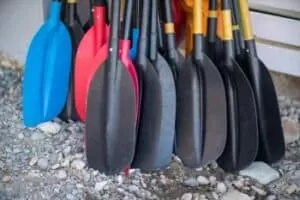Paddle Vs Oar: What Is the Main Difference | Rowing Crazy