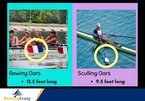 Rowing Vs Sculling: Which Is Right for You | Rowing Crazy